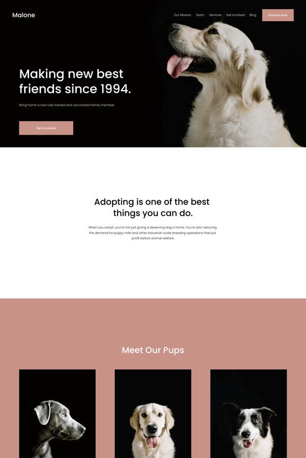 7 Kickass Squarespace Nonprofit Templates Start With These 